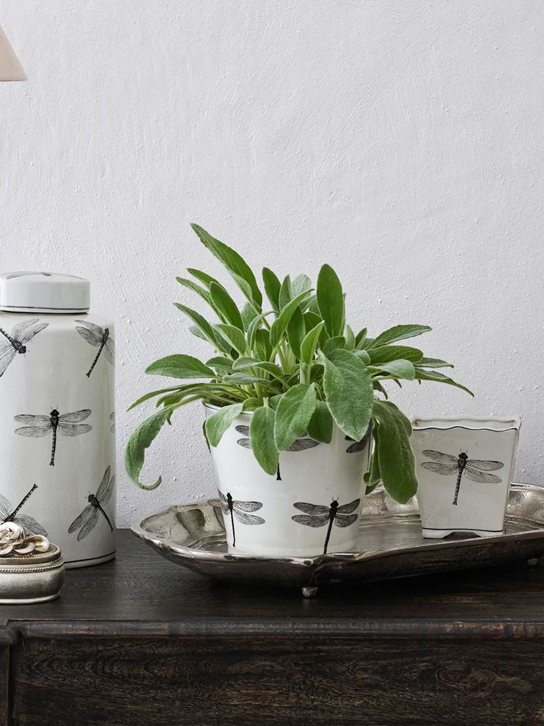 Dragonfly Round Planter