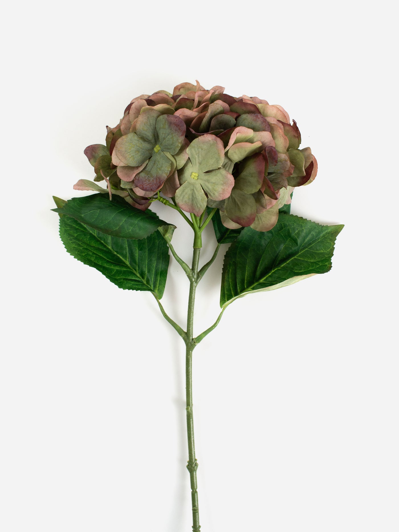 Elodie Green/Mauve Hydrangea