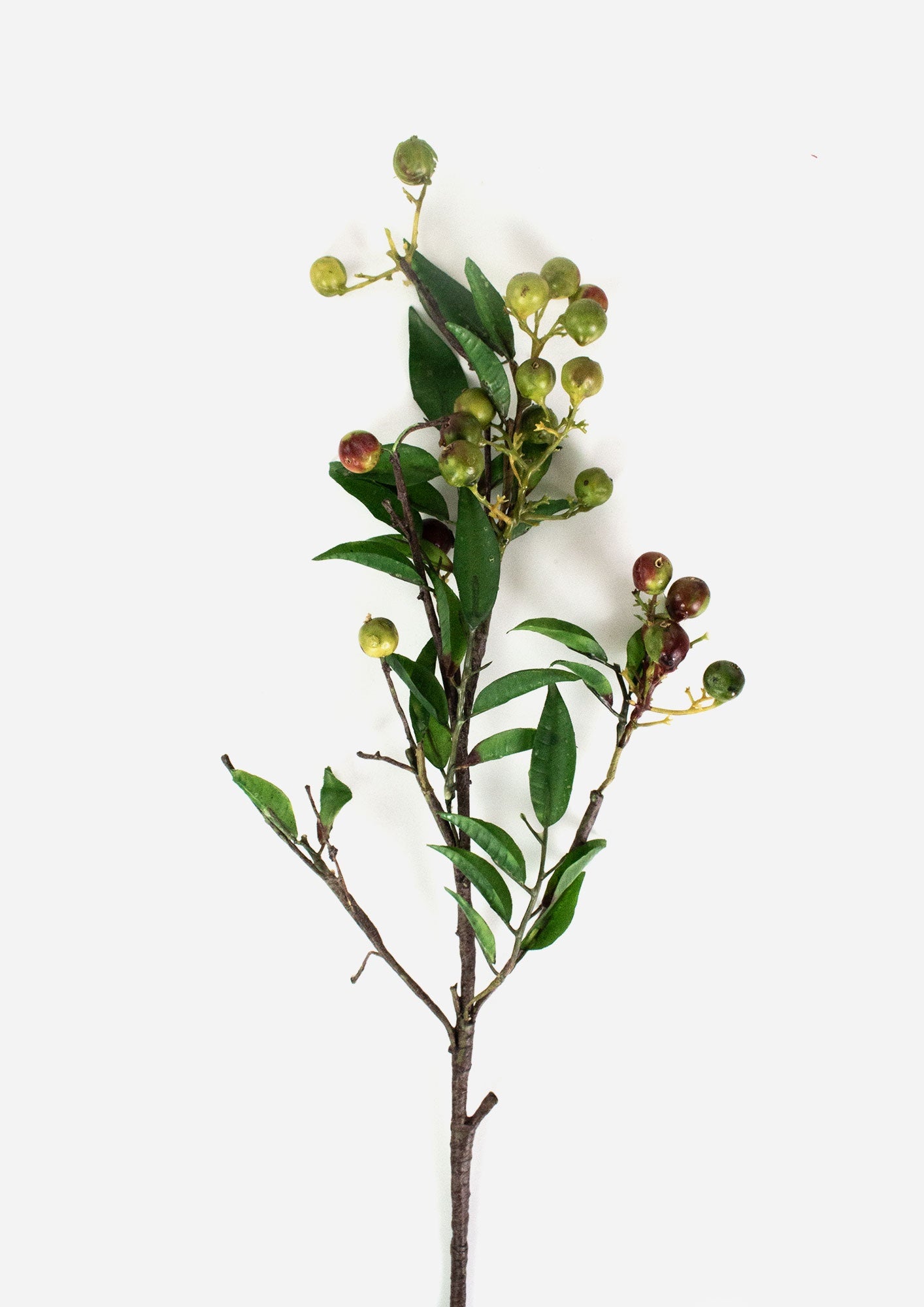 Native Berry Branch