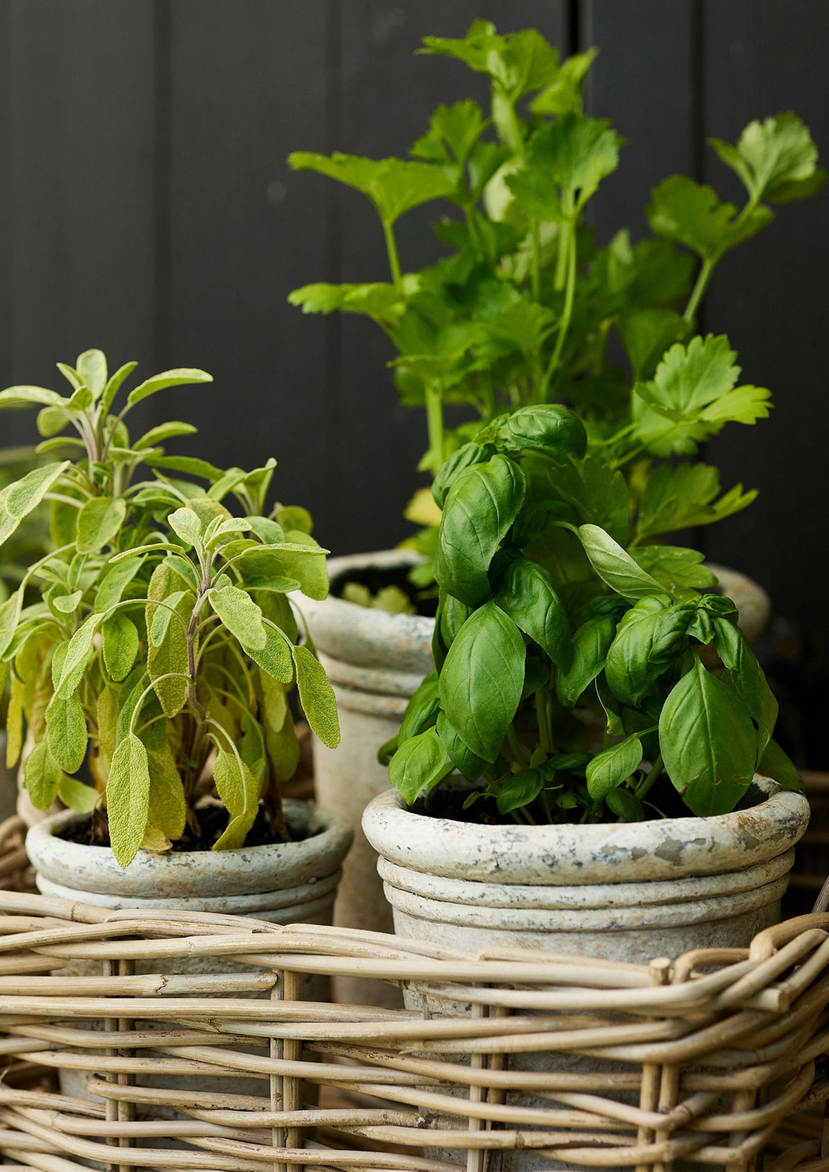 Gardening