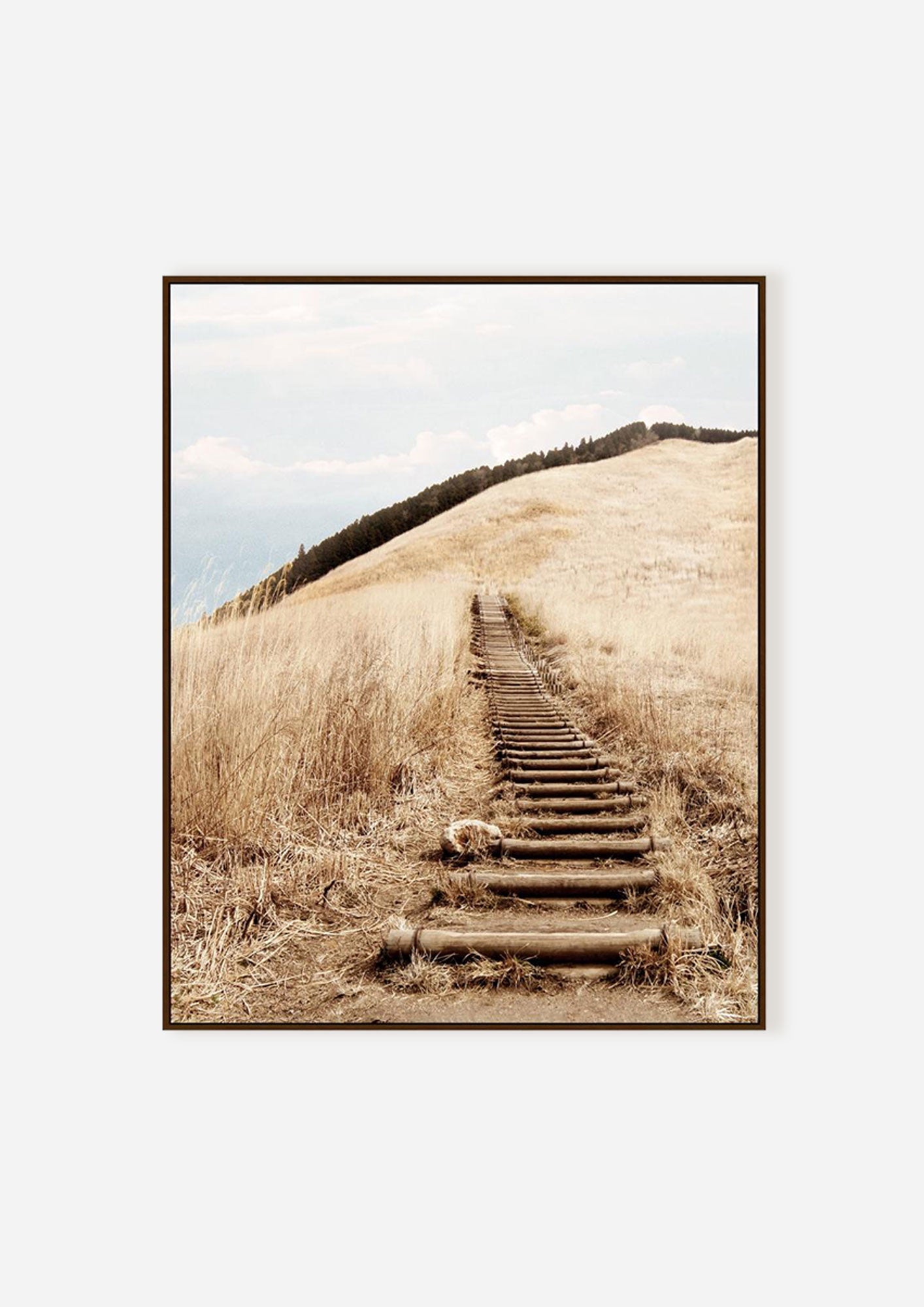 Pathway Canvas